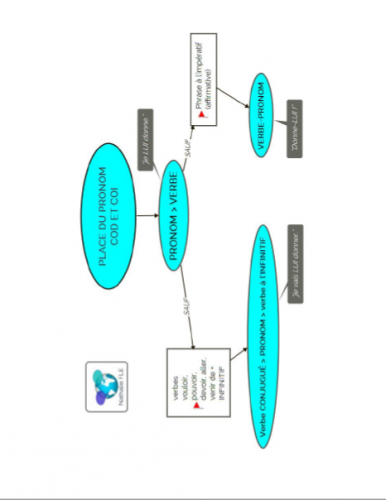 Guide de grammaire : Les pronoms compléments COD et COI - Nathalie FLE